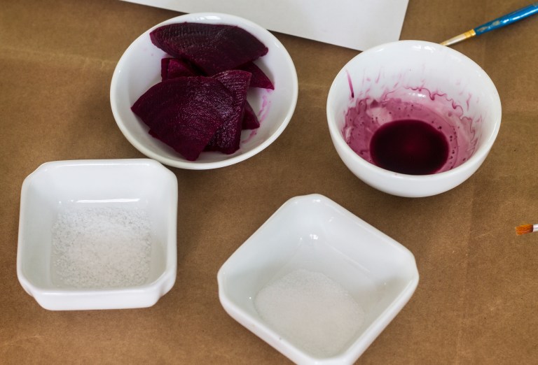 Watercolor Painting with Beetroot | THE COZY HOME CHRONICLES